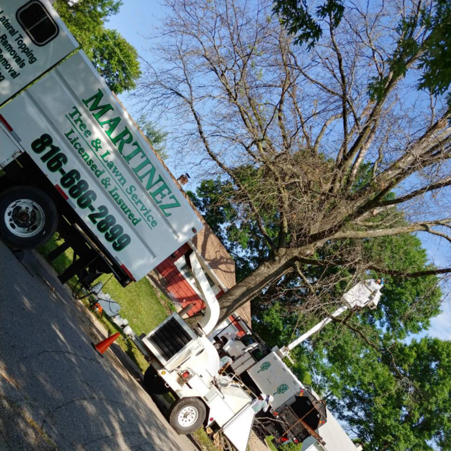 About Us | Martinez Tree & Lawn Service, LLC